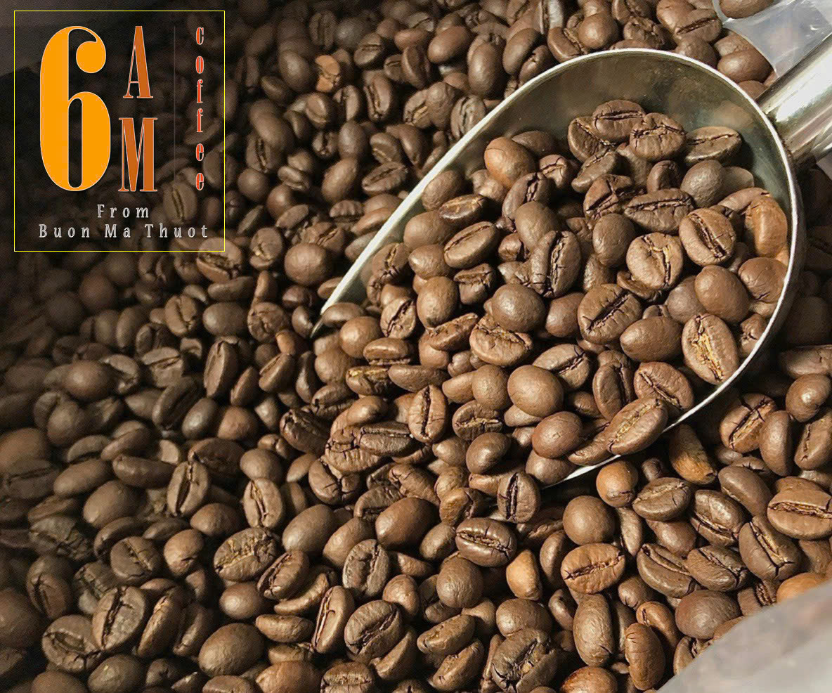 6.AM Coffee Robusta, Arabica, Culi, 100% Roaster Coffee Bean From Buon ...